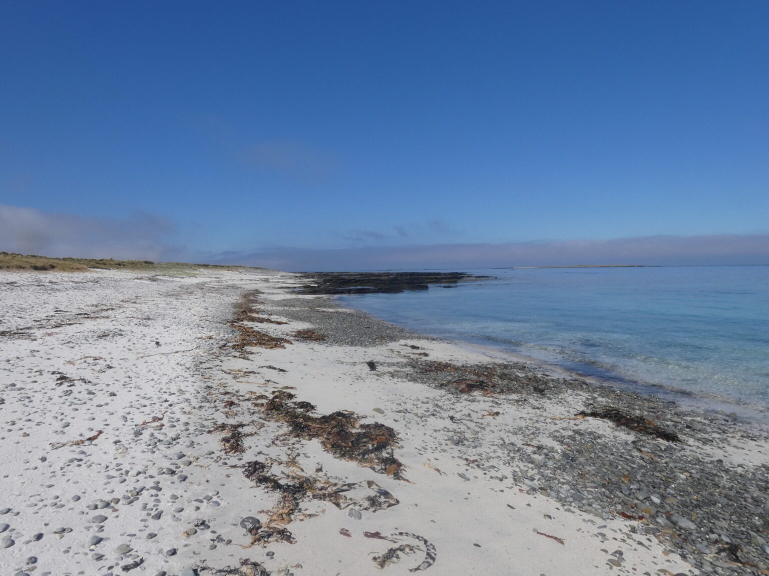 All About The Islands - REWDT